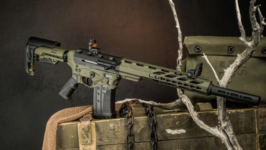 Comprehensive Guide To AR-12 Shotguns